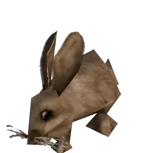 Cottontail Rabbit - NPC - Classic World of Warcraft