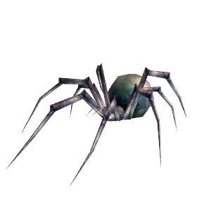 Spider - Hunter Pet - Classic World of Warcraft
