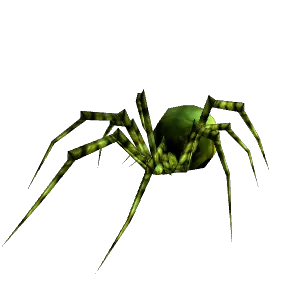 Spider - Hunter Pet - Classic World of Warcraft