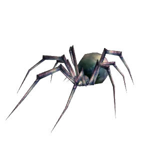 Spider - Hunter Pet - Classic World of Warcraft
