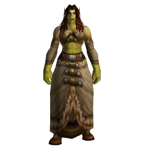 Horde Warlock - NPC - Classic World of Warcraft