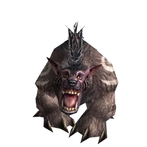 Bear Form (Night Elf Druid) - NPC - Classic World of Warcraft