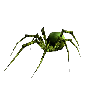 Spider - Hunter Pet - Classic World of Warcraft