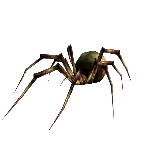 Spider - Hunter Pet - Classic World of Warcraft