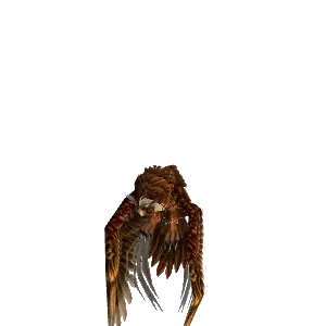 Owl Companion - NPC - Classic World of Warcraft