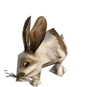 Mega Rabbit - NPC - Classic World of Warcraft
