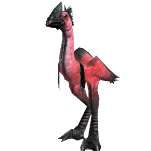 Riding Tallstrider (Pink) - NPC - Classic World of Warcraft