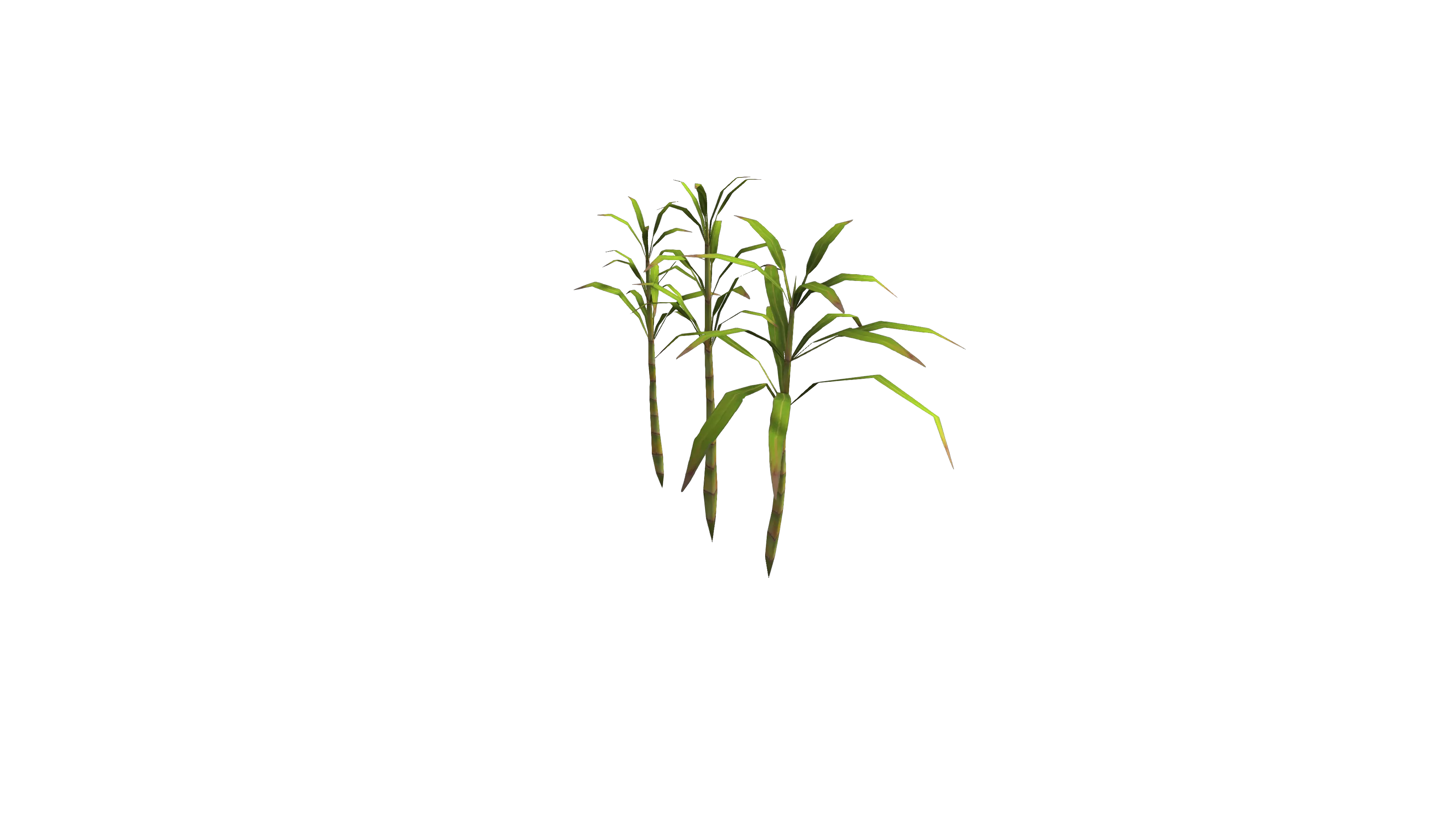 [DNT] [AUTOGEN] ULDUM_ CROPS_ SUGARCANEROW04.M2 - Decor - World of Warcraft