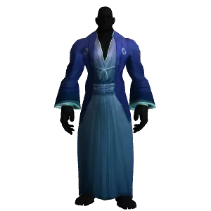 Common Cloth Chest Armor Transmog - World of Warcraft