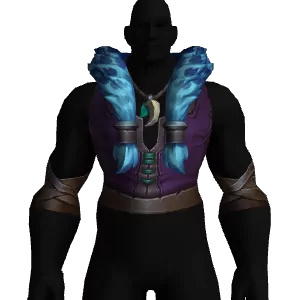 Leather Armor Transmog - World of Warcraft