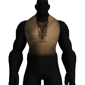 Shirt Transmog - World of Warcraft