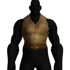 Shirt Transmog - World of Warcraft
