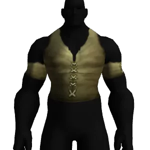 Shirt Transmog - World of Warcraft