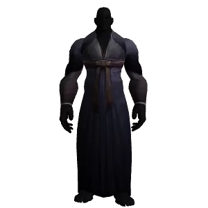 Common Cloth Chest Armor Transmog - World of Warcraft