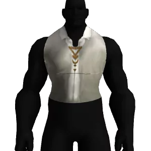 Shirt Transmog - World of Warcraft