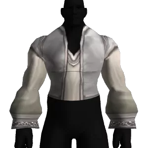 Shirt Transmog - World of Warcraft