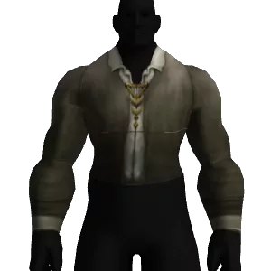 Shirt Transmog - World of Warcraft