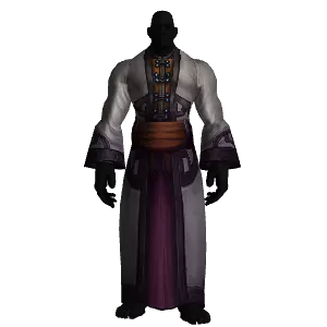 Common Cloth Chest Armor Transmog - World of Warcraft