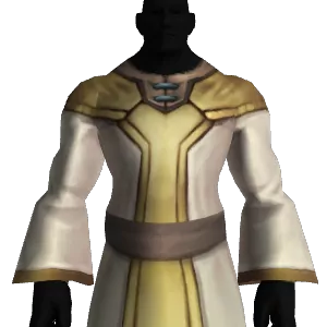 Common Cloth Chest Armor Transmog - World of Warcraft