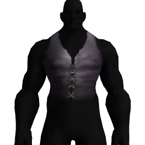 Shirt Transmog - World of Warcraft