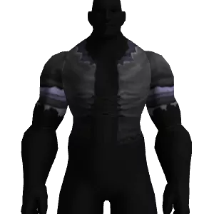 Common Cloth Chest Armor Transmog - World of Warcraft