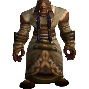 Shadowmoon Elementalist - NPC - World of Warcraft