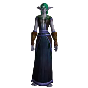 Kaldorei Druid - NPC - World of Warcraft