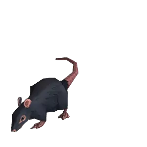 Critter - Pet Species - World of Warcraft