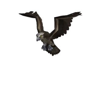 Eagle - NPC - World of Warcraft
