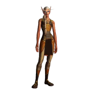 Parting Glass Patron - NPC - World of Warcraft