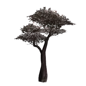 Tree - NPC - World of Warcraft