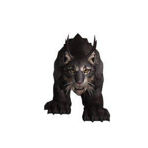Feral Lynx