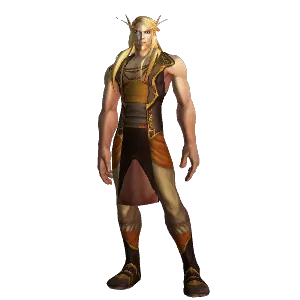 Parting Glass Patron - NPC - World of Warcraft