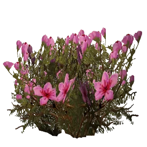 Mageroyal - NPC - World of Warcraft