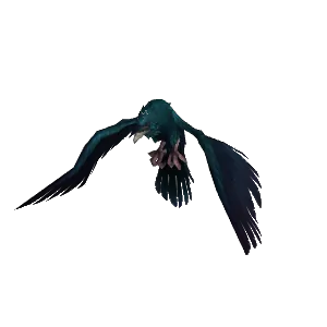 Crow - NPC - World of Warcraft