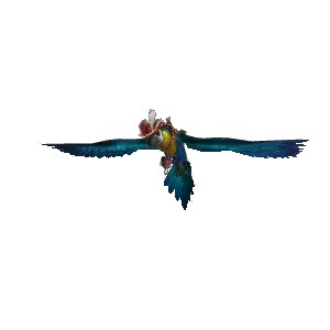 Polly Roger - NPC - World of Warcraft