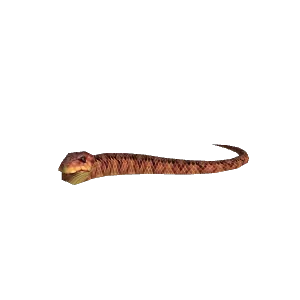 Snake - NPC - World of Warcraft