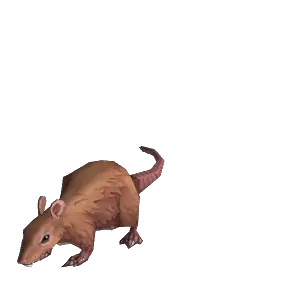 Polymorphed Rat - NPC - World of Warcraft