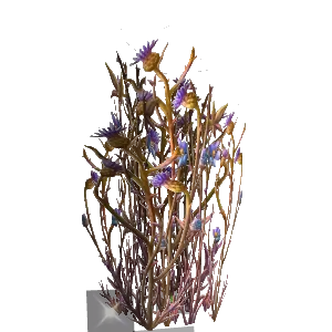Bruiseweed - NPC - World of Warcraft