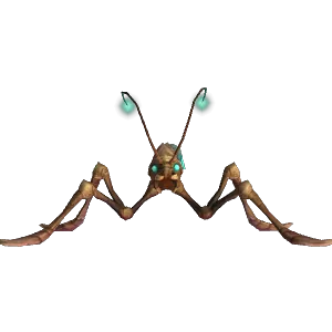 Water Strider - NPC - World of Warcraft