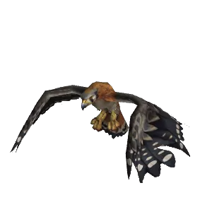 Suntouched Falcon - NPC - World of Warcraft