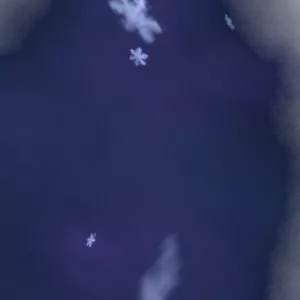 Arcane Energy - NPC - World of Warcraft