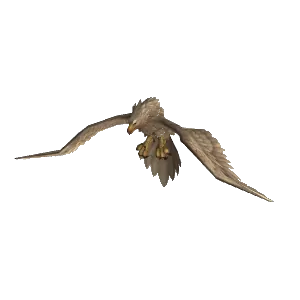 Eagle (White) - NPC - World of Warcraft