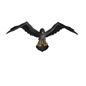 Scavenging Falcon - NPC - World of Warcraft