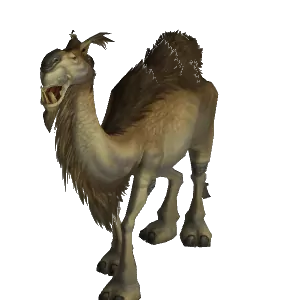 Camel - Hunter Pet - World of Warcraft