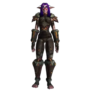 Warden Initiate - NPC - World of Warcraft