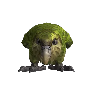 Kakapo - NPC - World of Warcraft