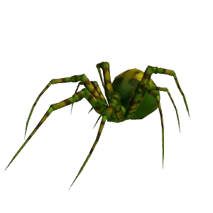 Beast - Pet Species - World of Warcraft