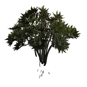 Bush - NPC - World of Warcraft