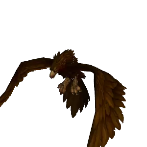 Hawk - NPC - World of Warcraft